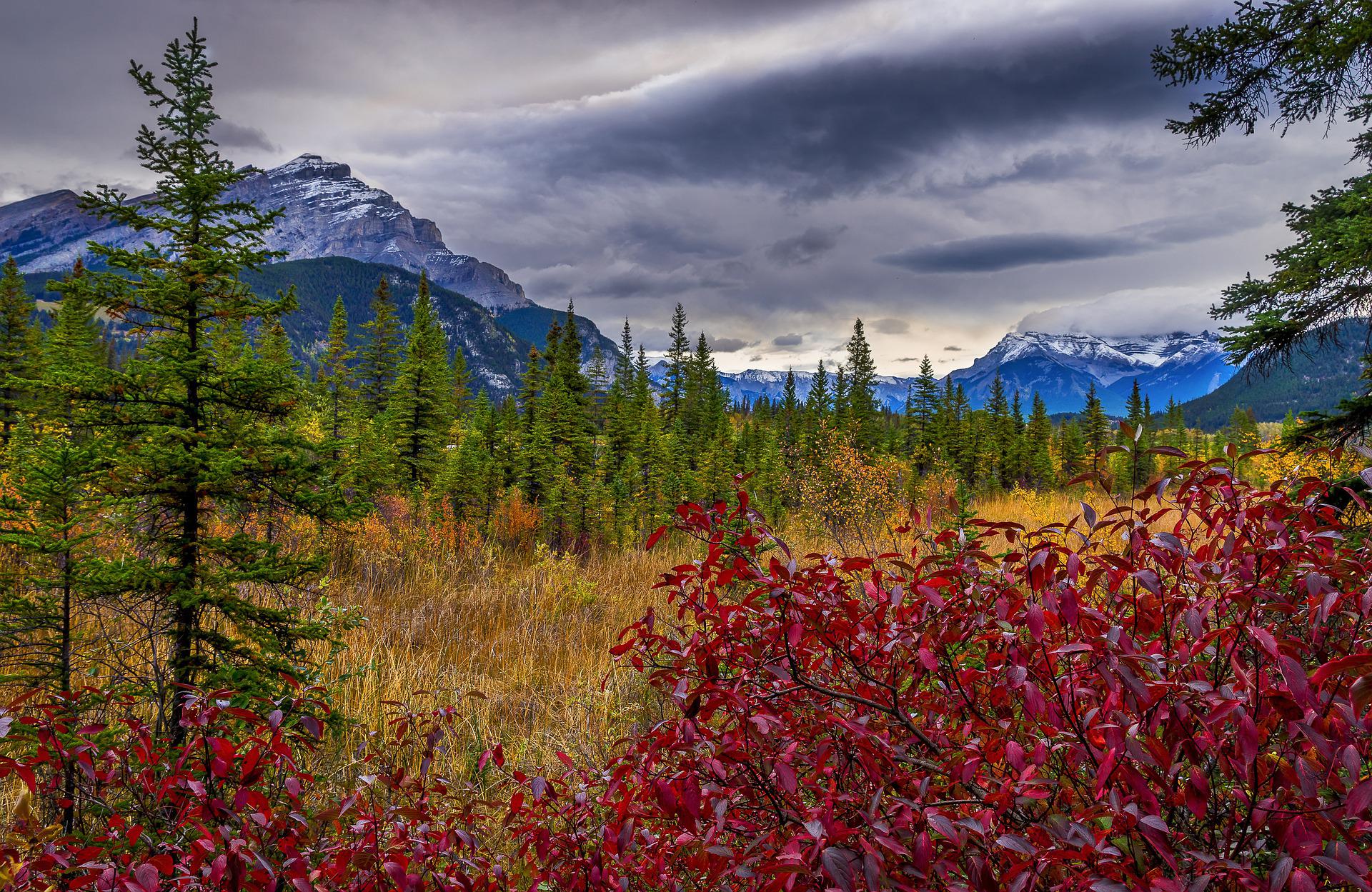 Heather Rock – Expert in environmental and natural resource project ... Heather Rock – Expert in environmental and natural resource project ...